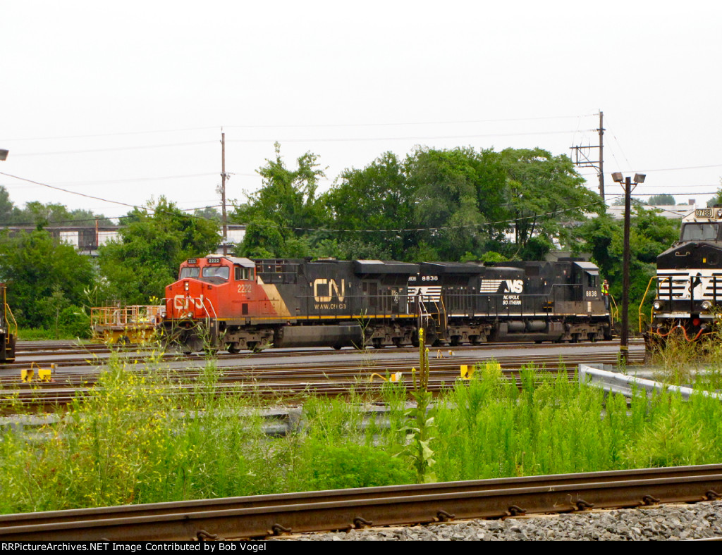CN 2222 and NS 8838